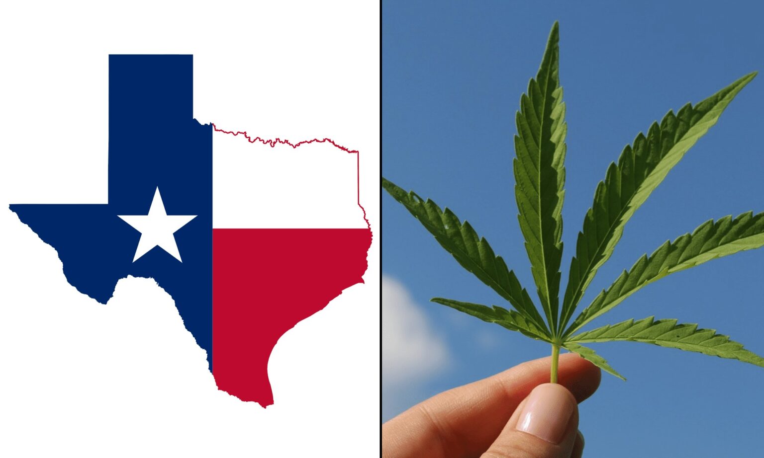Marijuana Retail Report